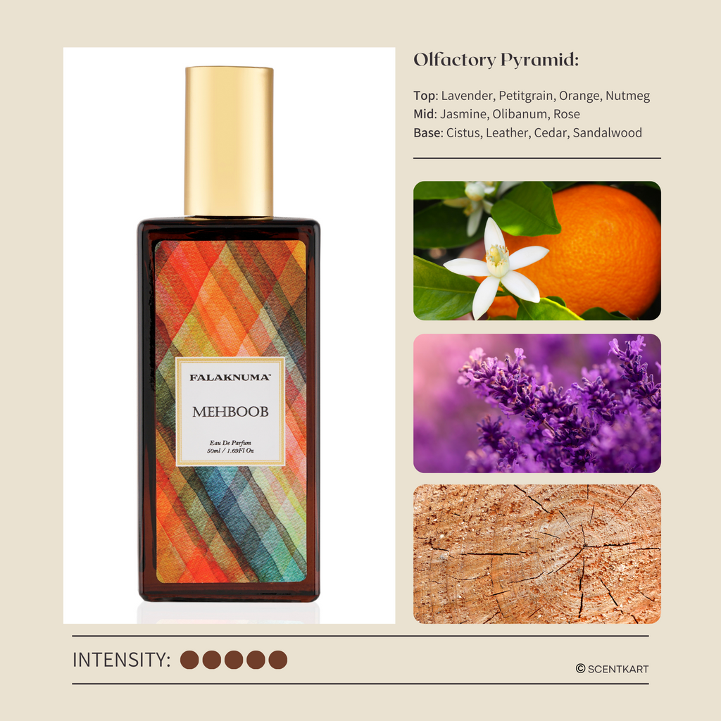 Mehboob | Strong, Spicy, Musk | Perfume 50ml – SCENTKART