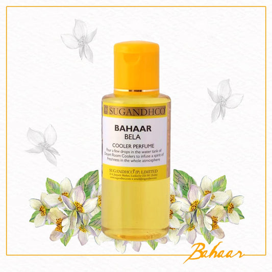 Cooler Perfumes – SCENTKART